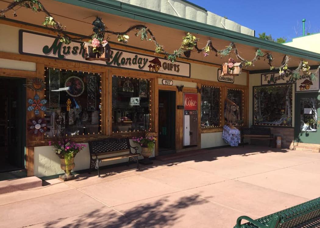 Mushroom Monday - Visit Manitou Springs