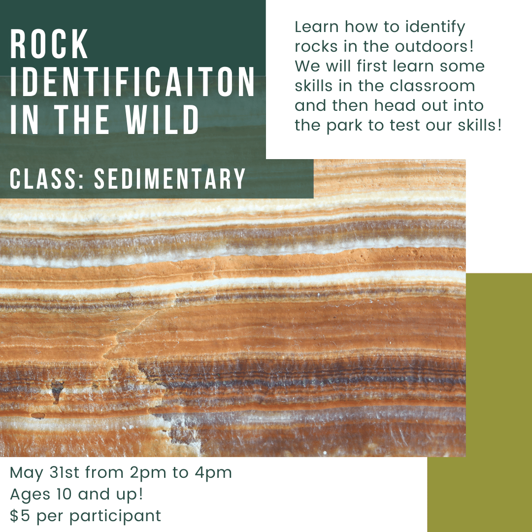 Sedimentary Rock Identification