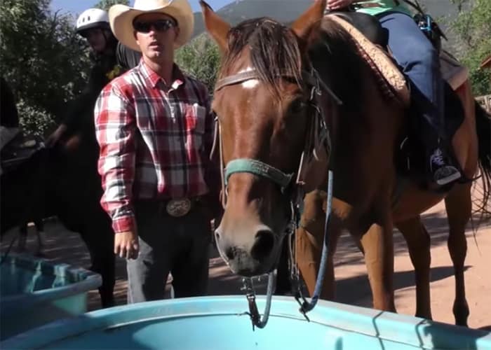 Academy Riding Stables - Manitou Springs