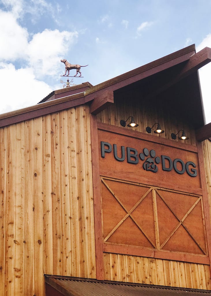 Pub Dog Colorado - Visit Manitou Springs