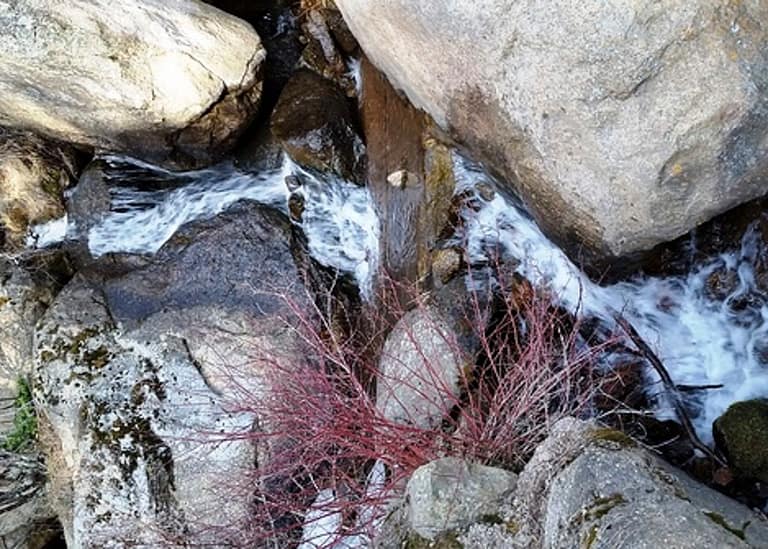 Hiking Trails in Manitou Springs, CO and the Pikes Peak Region