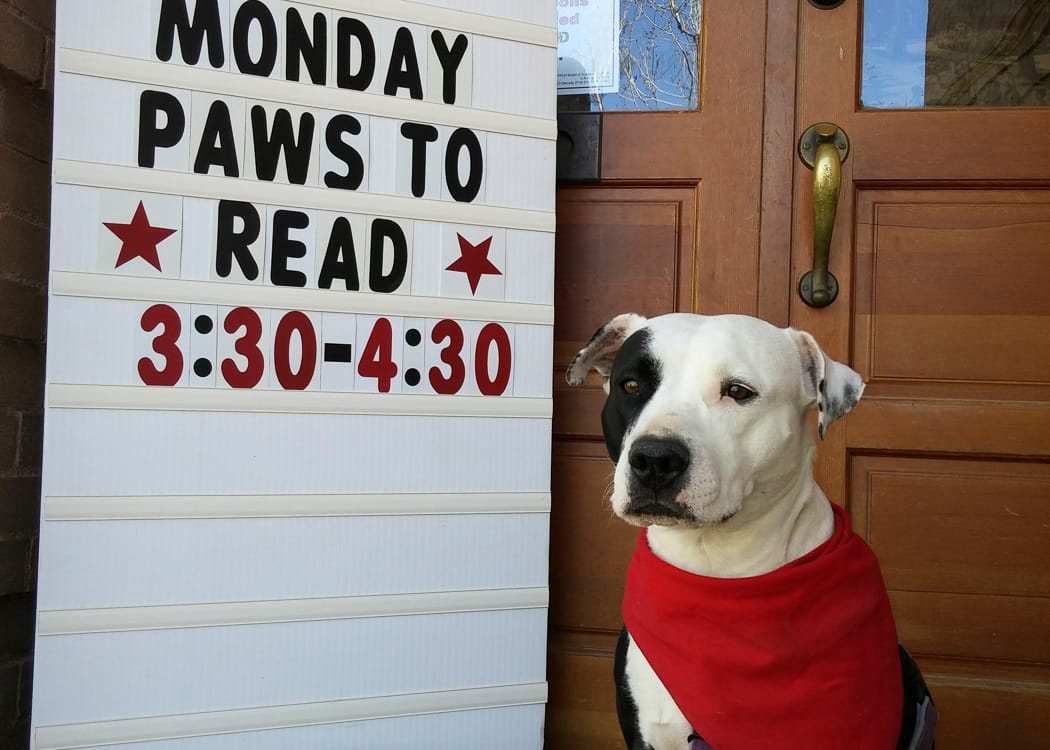 Manitou Springs Library - Manitou Springs